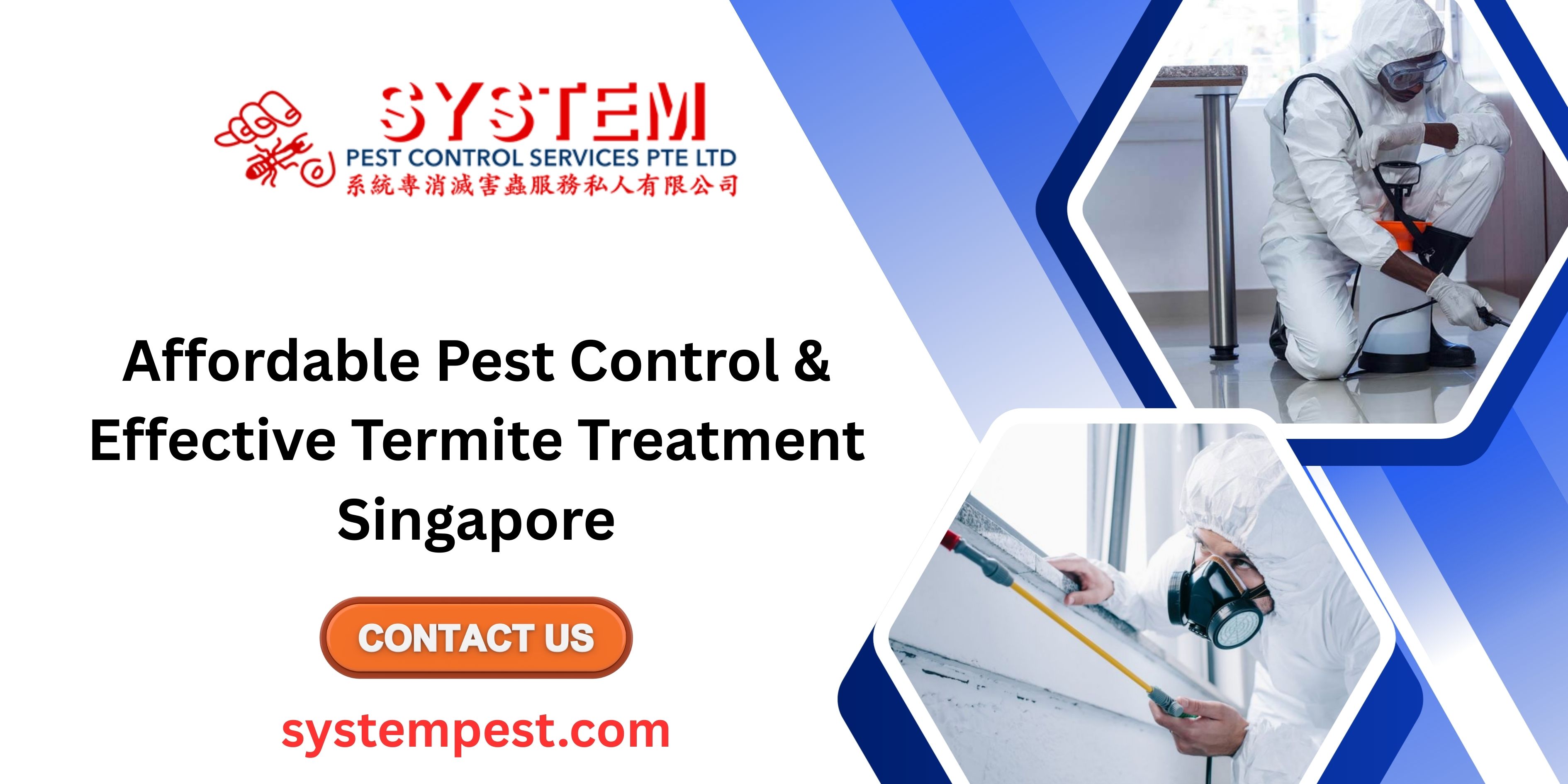 Affordable Pest Control & Effective Termite Treatment Singapore ...