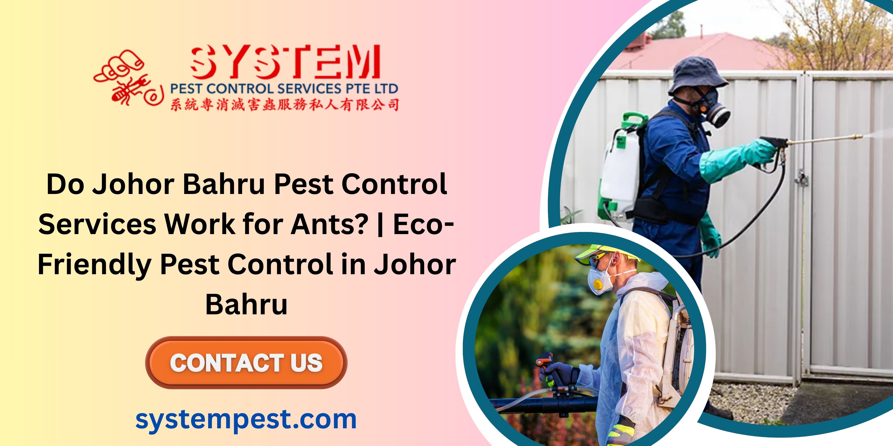 Safe, Eco-Friendly Ant Pest Control in Johor Bahru - System Pest