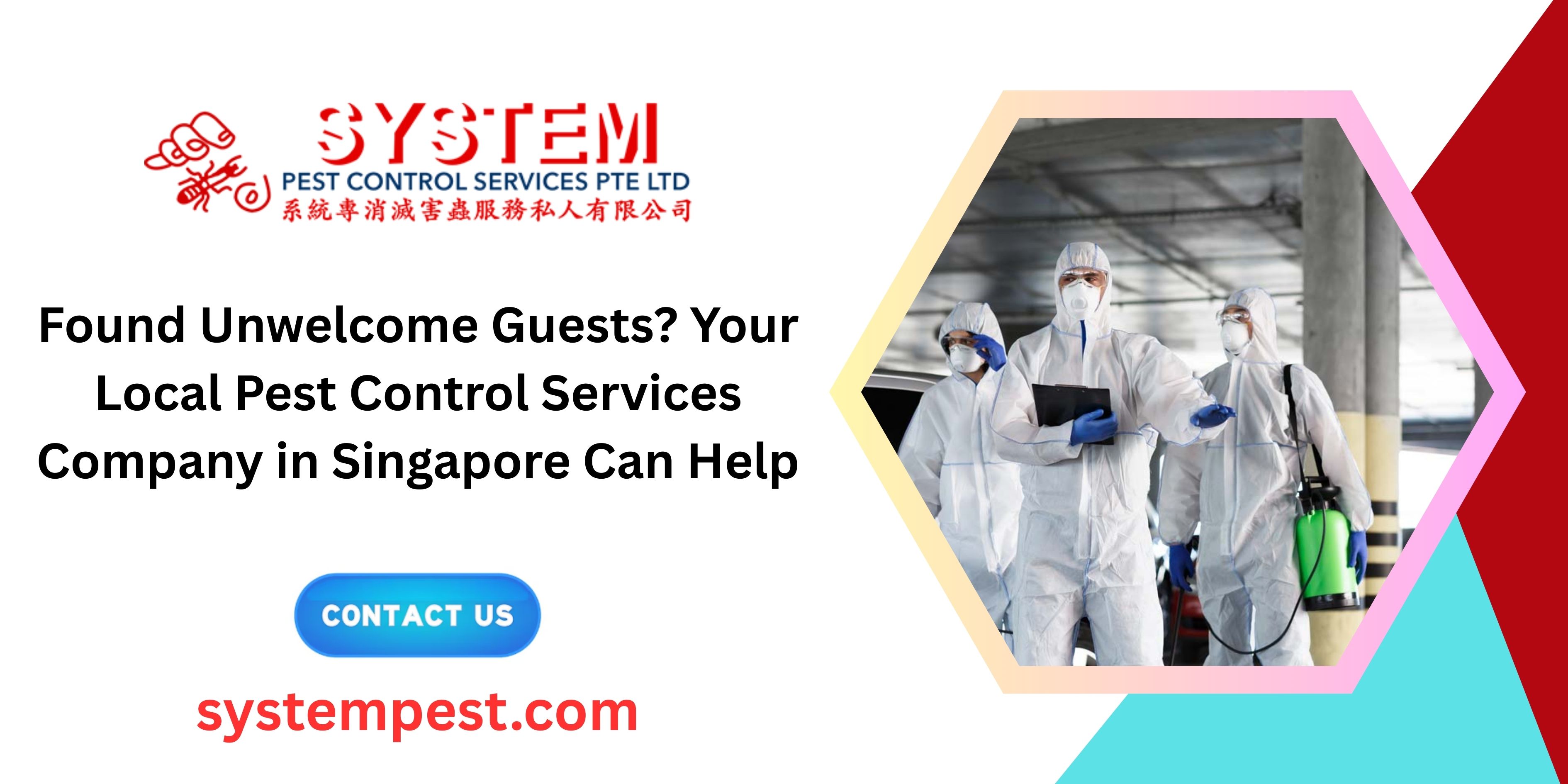 Trusted Pest Control Services Company in Singapore | System Pest